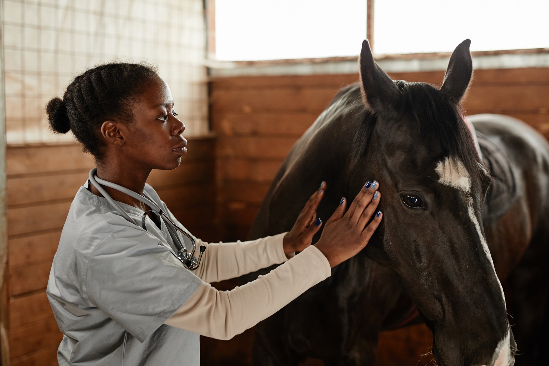 The Benefits of Mobile Diagnostic Imaging for Horses